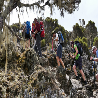 Rongai Route 8 Days 7 Nights – Happy Kilimanjaro Adventure