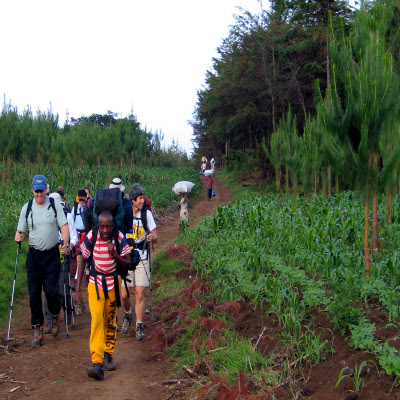 Rongai Route 7 Days 6 Nights – Happy Kilimanjaro Adventure